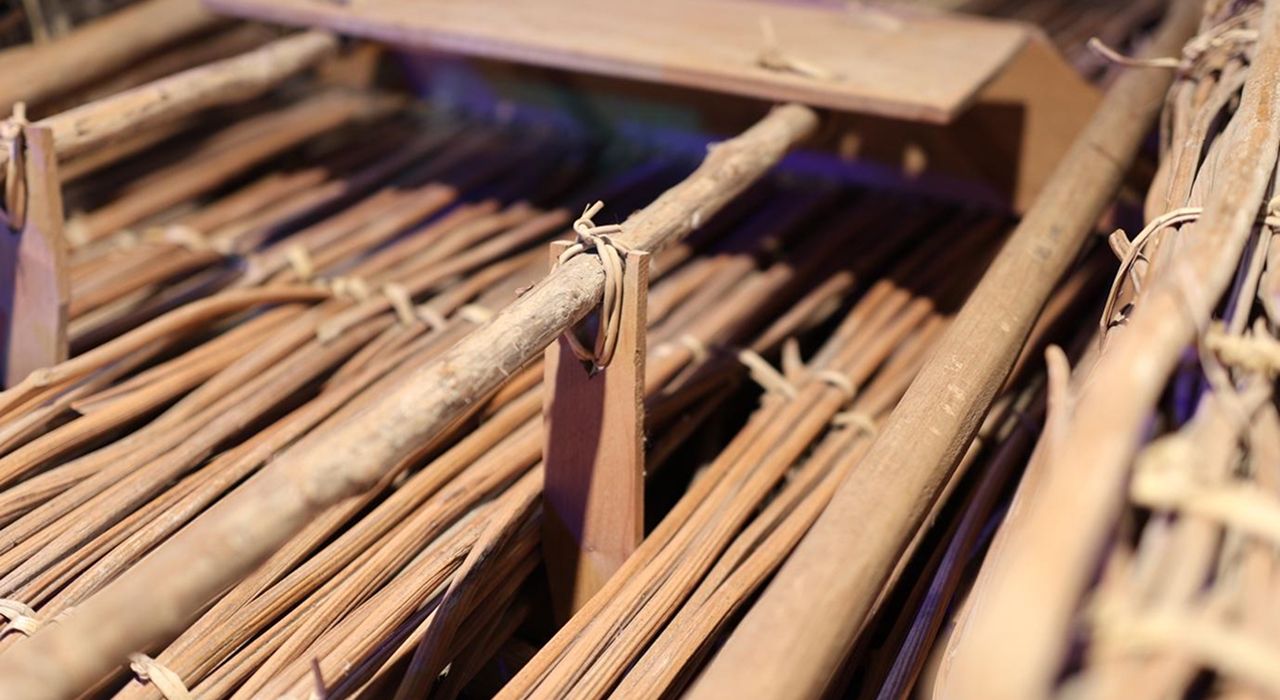 Our Origins | Moriori Imi Settlement Trust